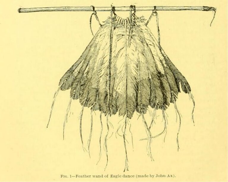 Birds in Cherokee culture: Symbols, stories, spirituality