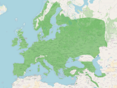 Eurasian blue tit: One of Europe's most familiar birds